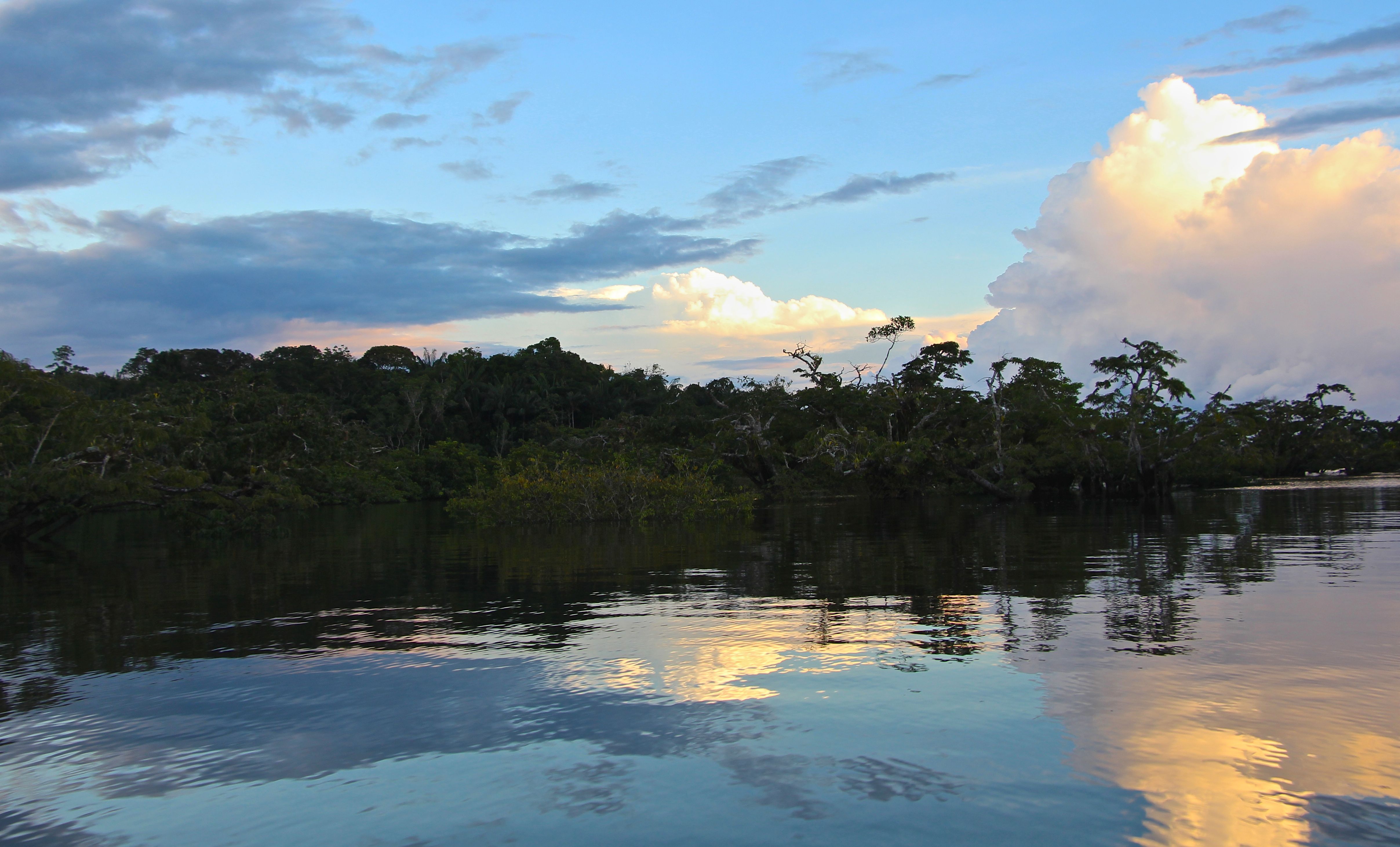 Amazon Jungle Tours – Amazon Shepherd